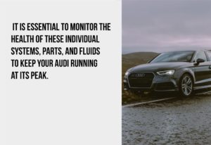 The Ultimate Guide To Audi Service & Maintenance - Autohaus Social